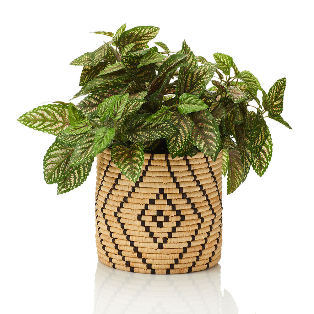 Matope Planter Basket – Life Inspirit